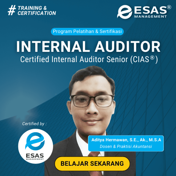 Internal Audit – Certified Internal Auditor Senior (CIAS) | Esas Management